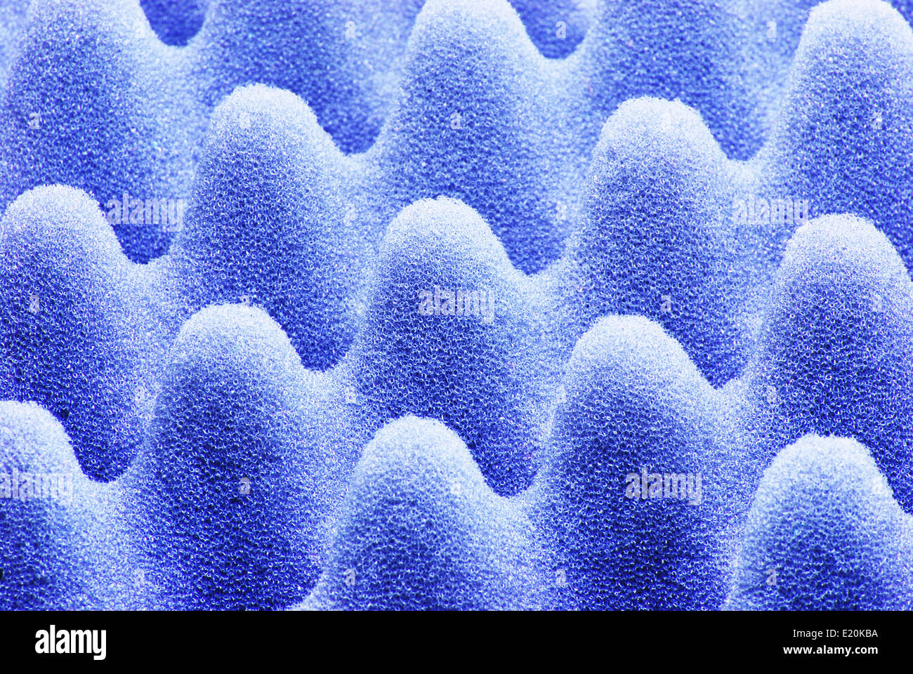 Sponge texture immagini e fotografie stock ad alta risoluzione - Alamy