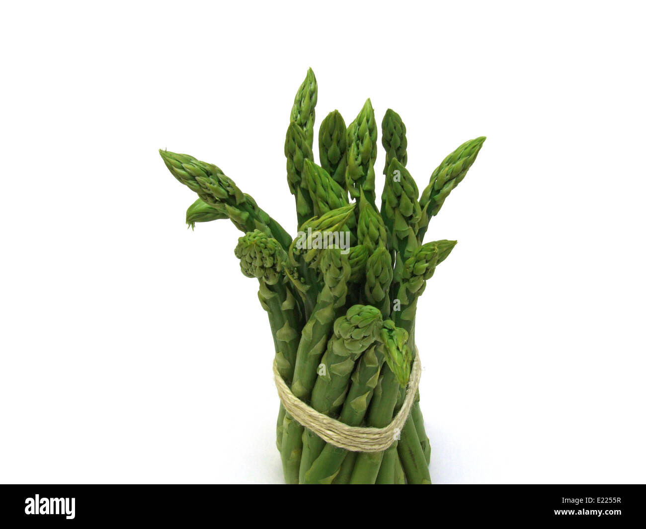 Pianta di asparagi officinalis immagini e fotografie stock ad alta ...