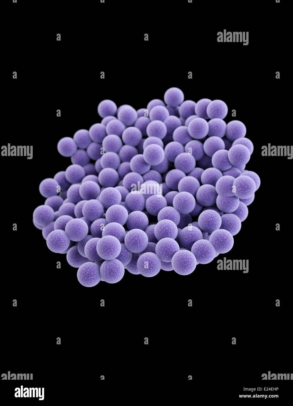Cellula procariote, disegno immagini e fotografie stock ad alta ...