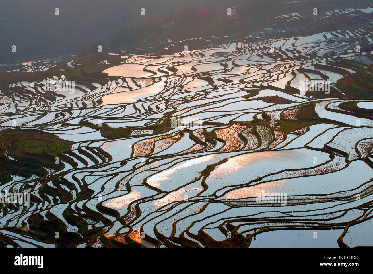 Cina Yunnan Yuanyang Paesaggio culturale di Honghe Hani terrazze di riso sono classificati come ...