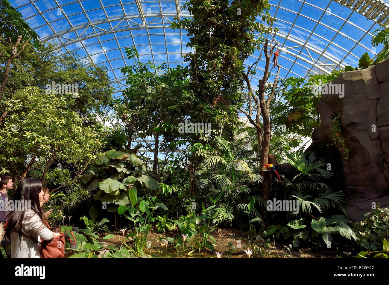 Francia Paris Paris Zoological Park (Zoo de Vincennes) ai visitatori di ...