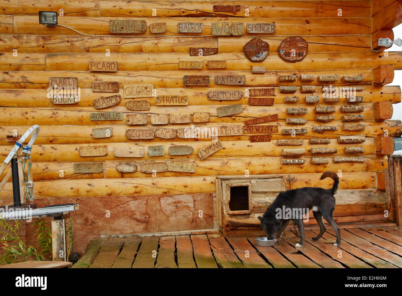 Sleg immagini e fotografie stock ad alta risoluzione - Alamy