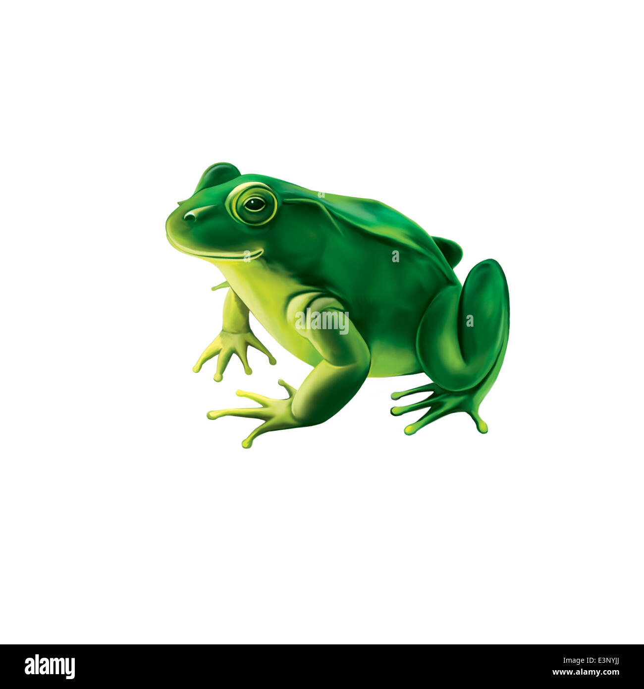 Giovane capra animale capretto animali mammifero di capra Immagini ...