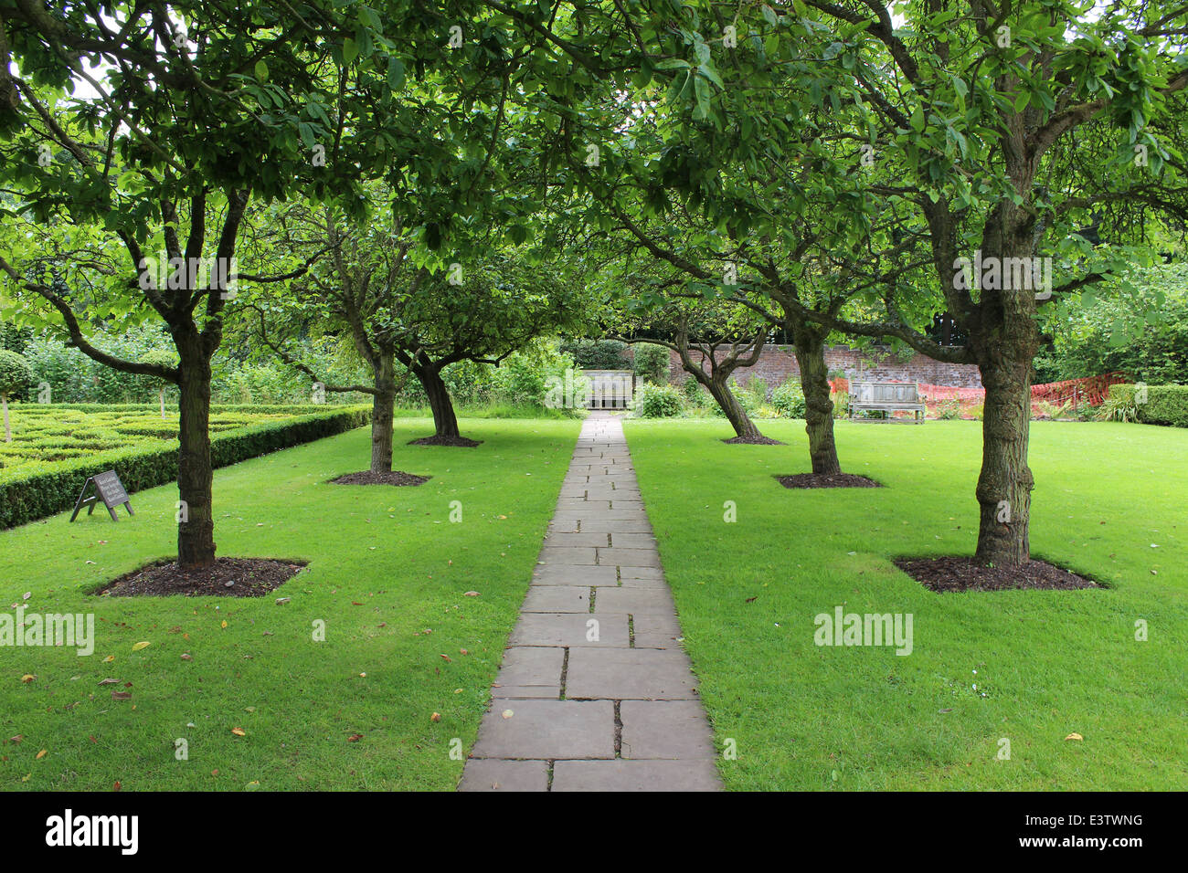 Charles moseley immagini e fotografie stock ad alta risoluzione - Alamy