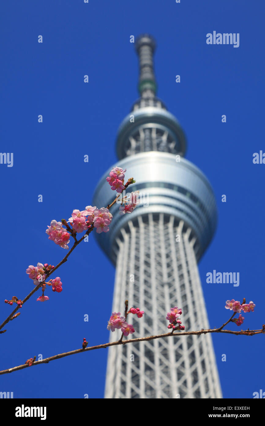 Tobu skytree immagini e fotografie stock ad alta risoluzione - Alamy