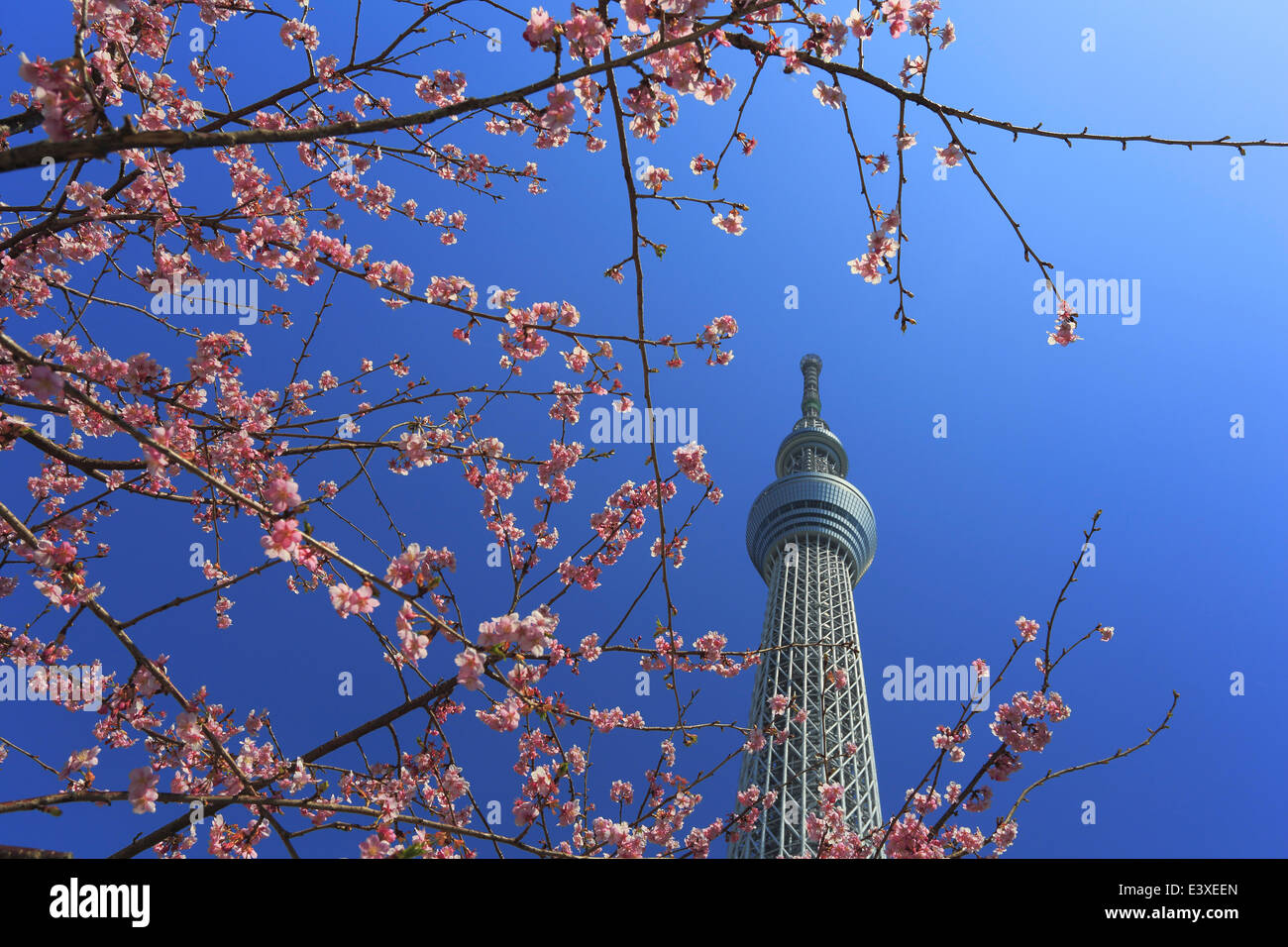 Tobu skytree immagini e fotografie stock ad alta risoluzione - Alamy