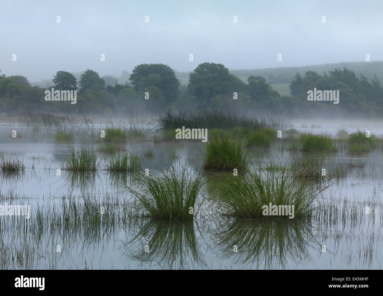 Acque sotterranee immagini e fotografie stock ad alta risoluzione - Alamy