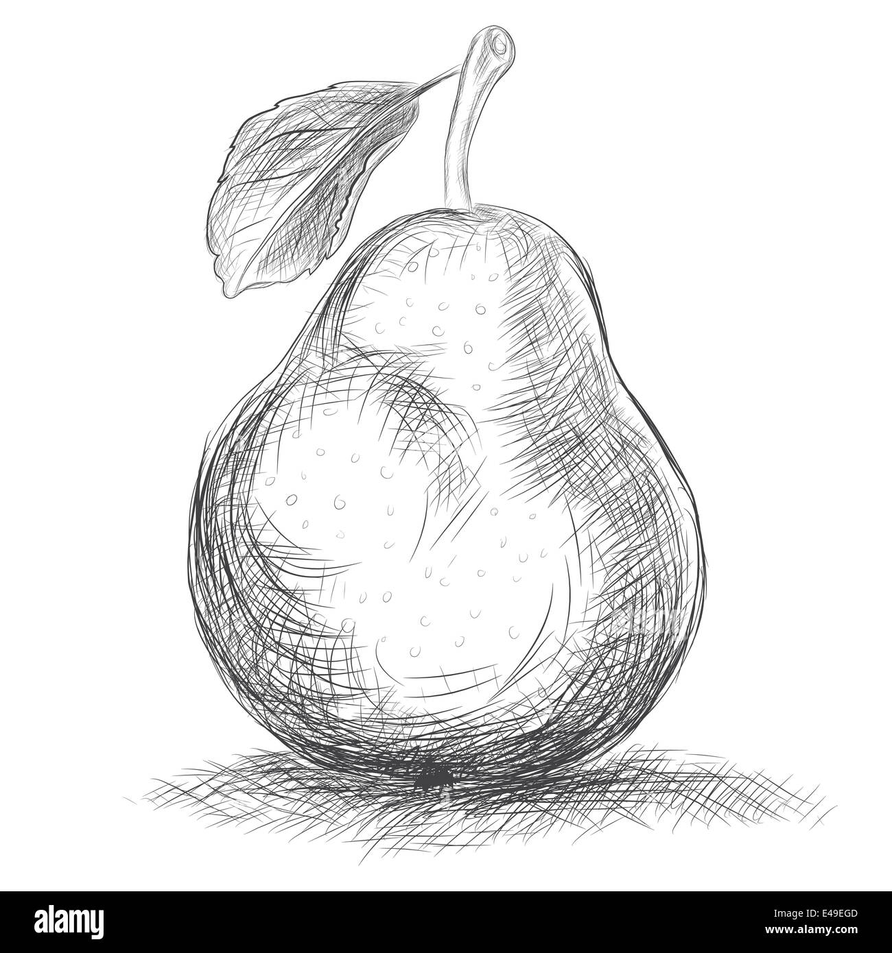 Disegno di pera immagini e fotografie stock ad alta risoluzione - Alamy