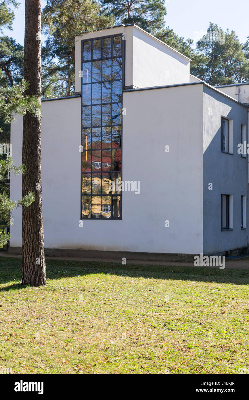 Il Bauhaus Meisterhäuser, ex case di Gropius e altri professori della ...