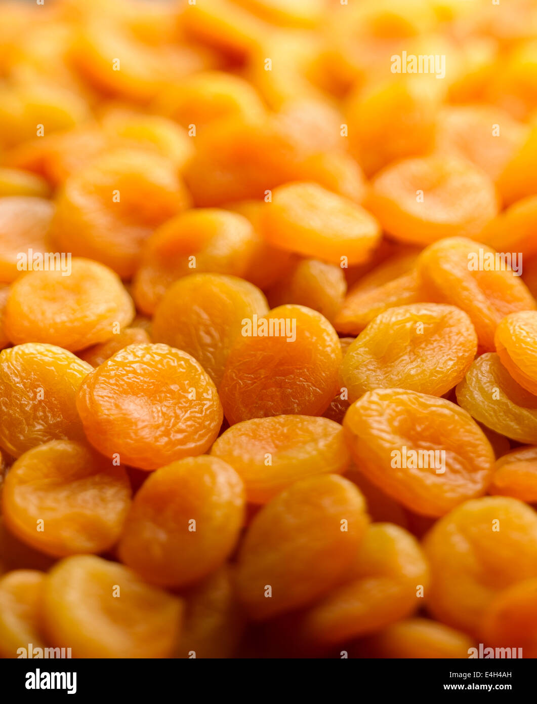 Albicocca selvatica immagini e fotografie stock ad alta risoluzione - Alamy