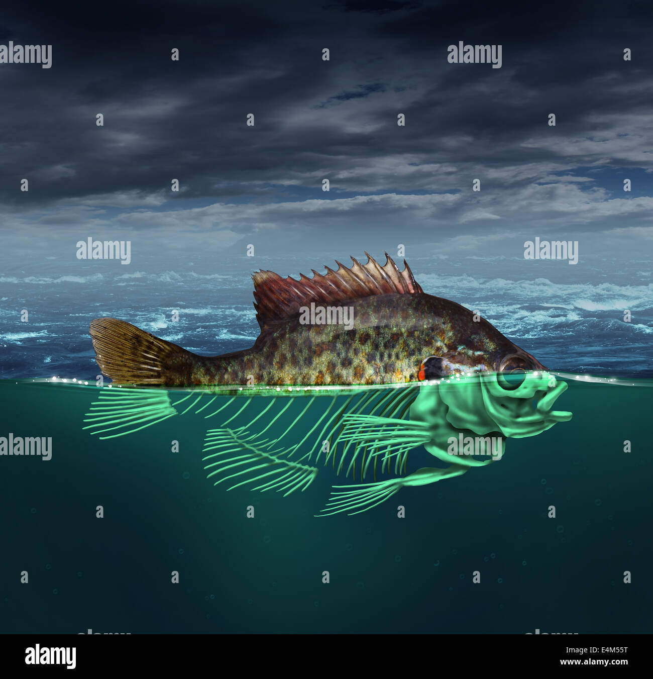 Inquinamento dell'acqua immagini e fotografie stock ad alta risoluzione ...