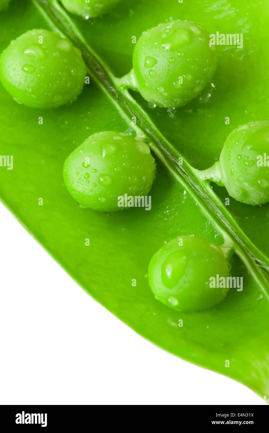 Pisello rotondo immagini e fotografie stock ad alta risoluzione - Alamy