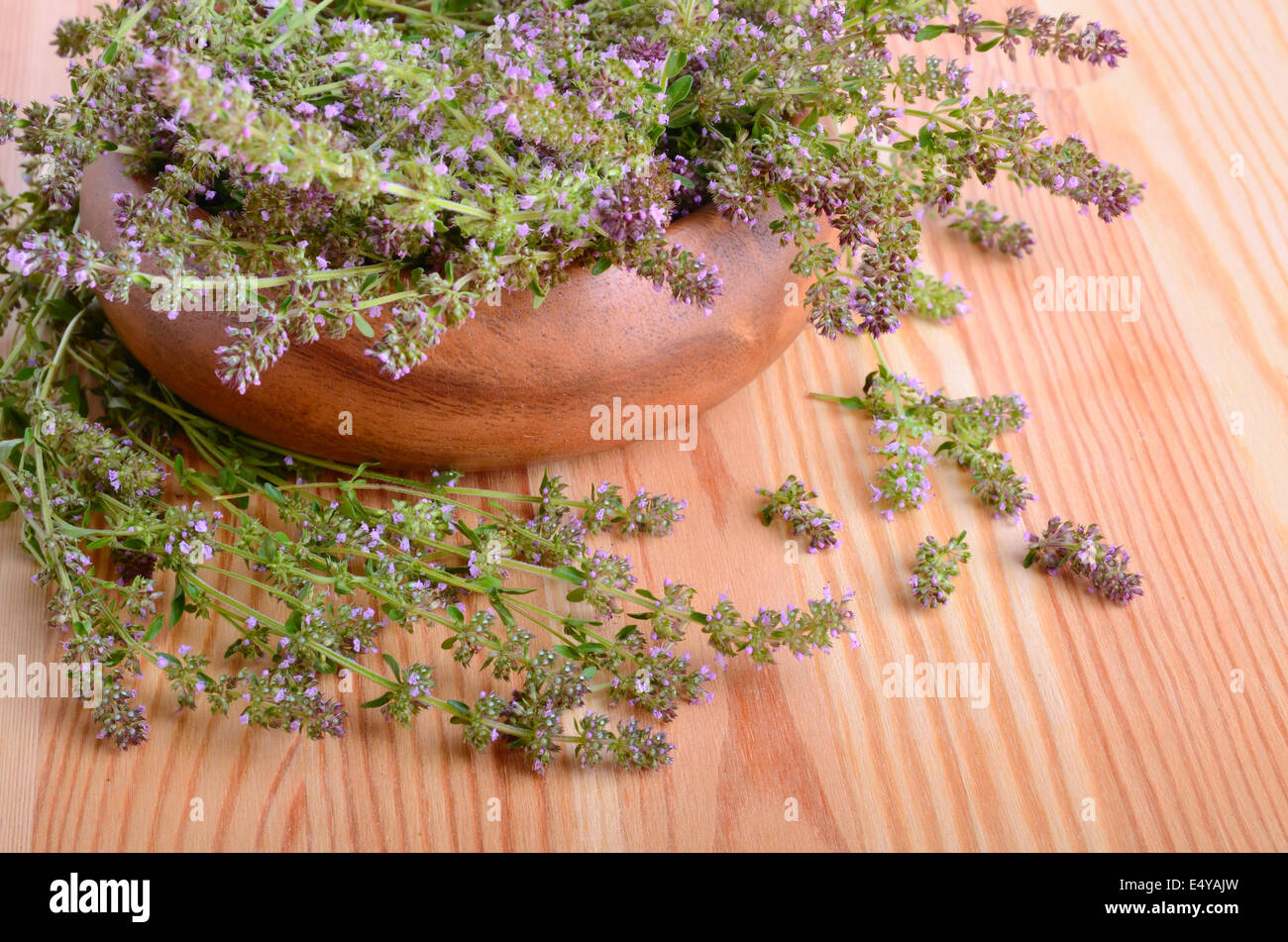 Fiori di tim immagini e fotografie stock ad alta risoluzione - Alamy
