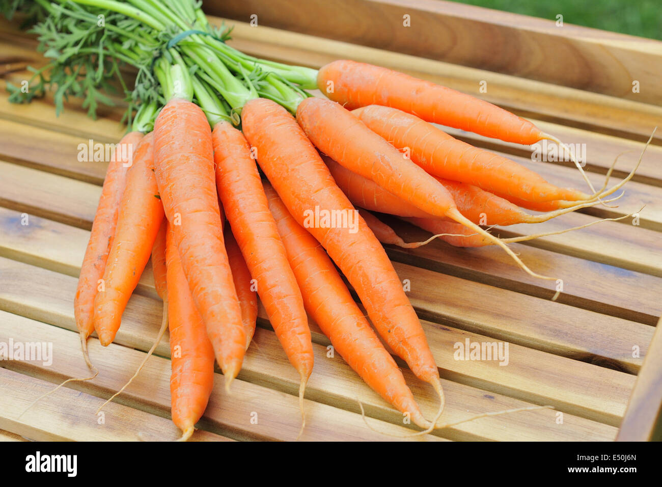 Mini carote immagini e fotografie stock ad alta risoluzione - Alamy