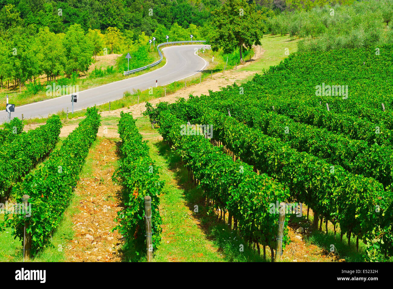 Vigneti del cartello stradale Immagini e Fotos Stock - Alamy