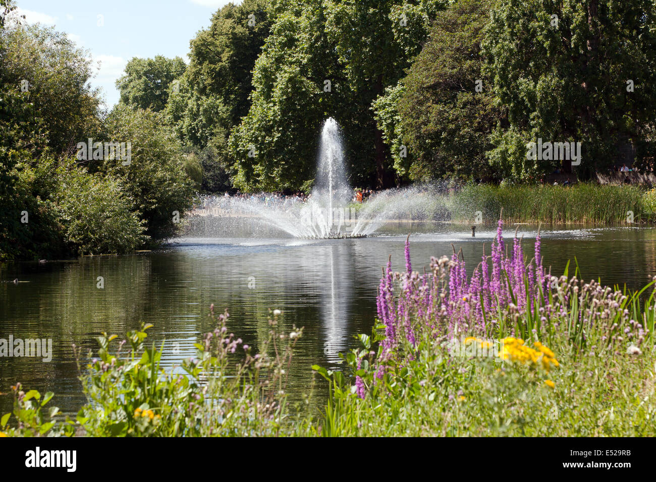 Vista la Swire fontana e il lago presso il St James Park, Londra Foto ...