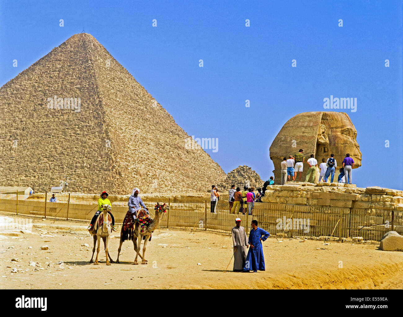 Vista la Sfinge e la Grande Piramide di Giza, il Cairo, Egitto Foto ...