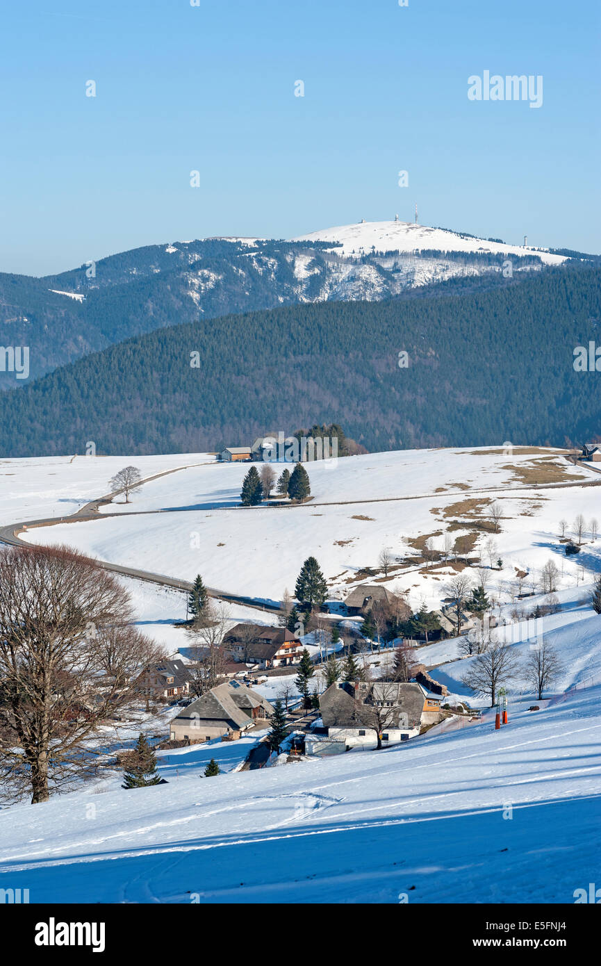 Foresta nera immagini e fotografie stock ad alta risoluzione - Alamy