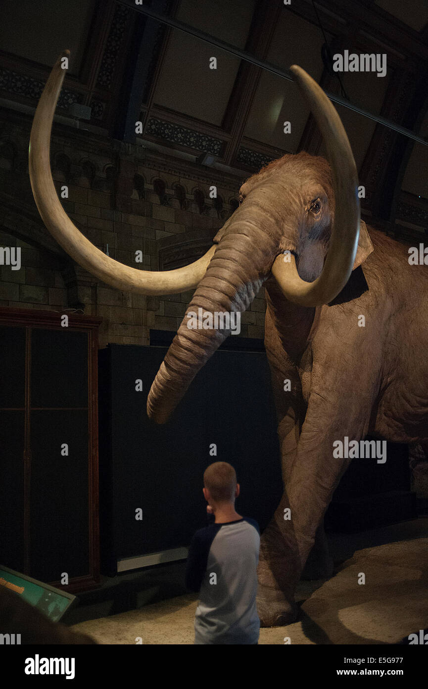 000 anni fa mammiferi mammifero roberto nistri verticale immagini e ...