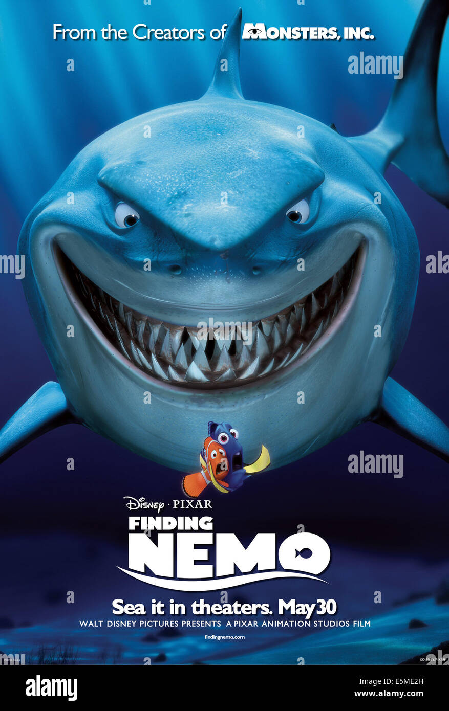 Dory finding nemo immagini e fotografie stock ad alta risoluzione - Alamy