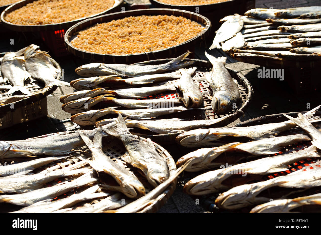 Pesce sole d'acqua salata immagini e fotografie stock ad alta ...