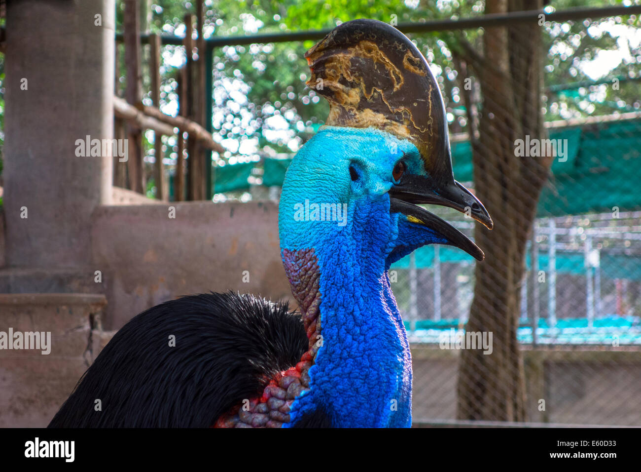 Profilo casuario immagini e fotografie stock ad alta risoluzione - Alamy
