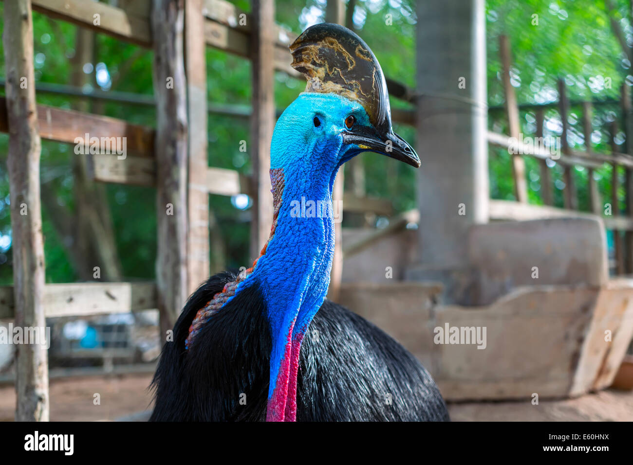 Profilo casuario immagini e fotografie stock ad alta risoluzione - Alamy