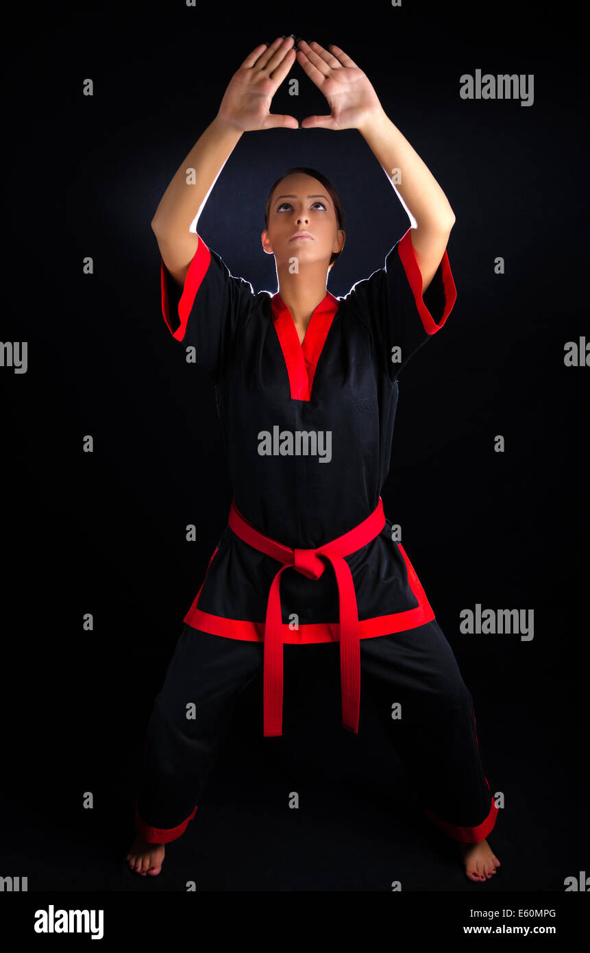 Shotokan karate immagini e fotografie stock ad alta risoluzione - Alamy