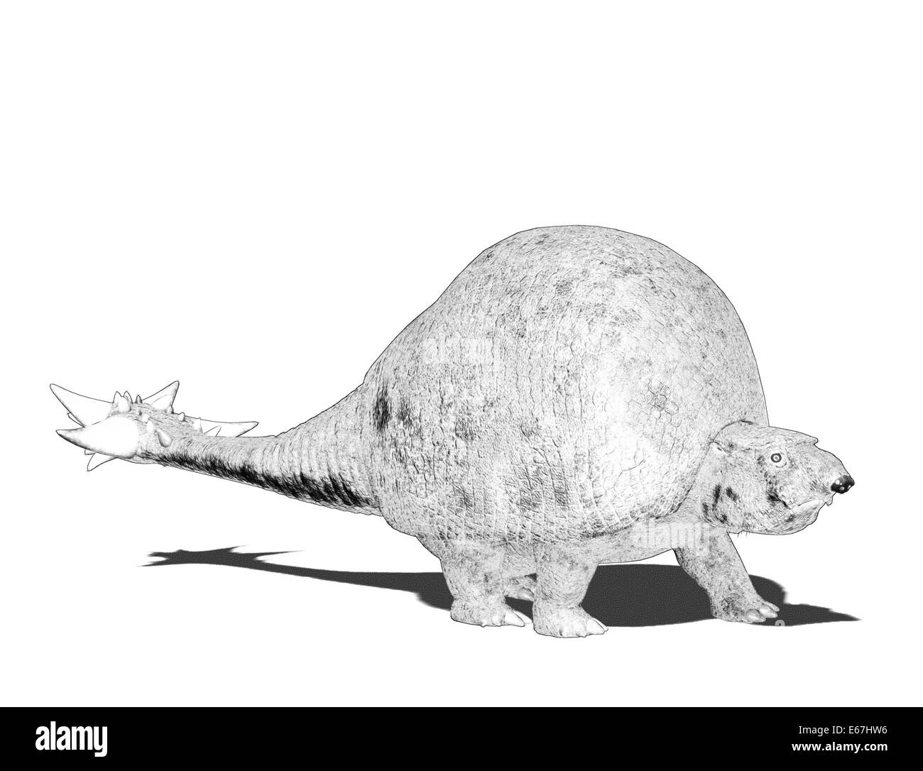 Dinosaurier / Doedicurus Doedicurus dinosauro Foto stock - Alamy