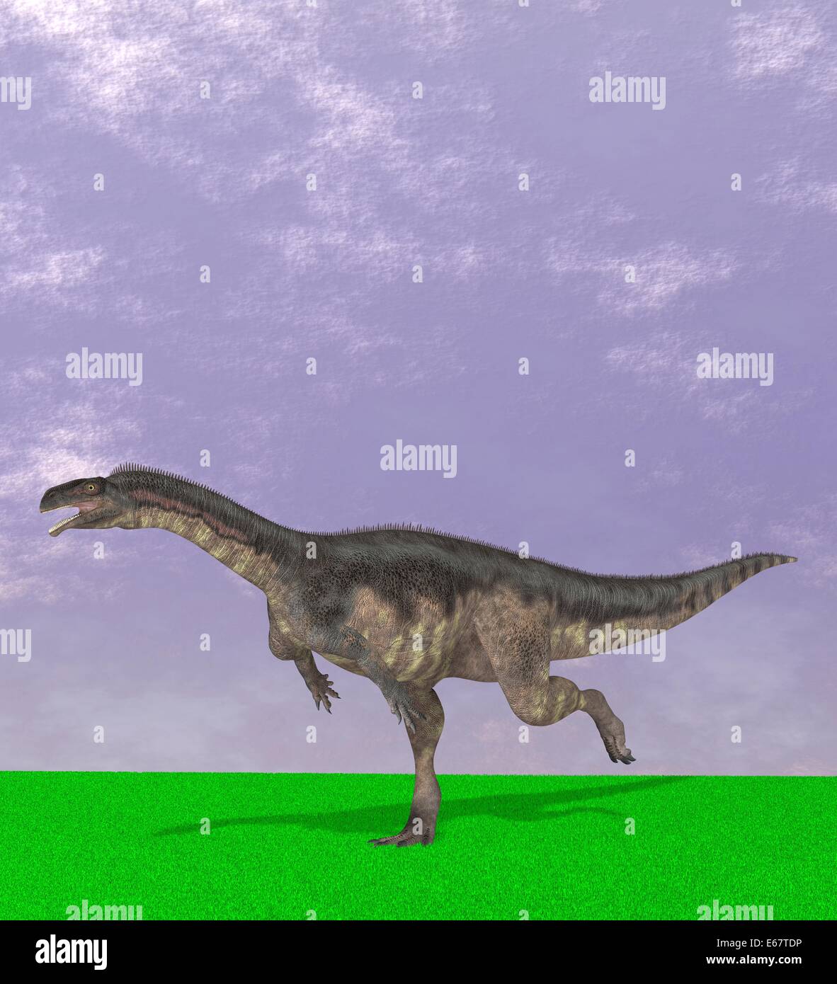 Plateosaurus engelhardti immagini e fotografie stock ad alta ...