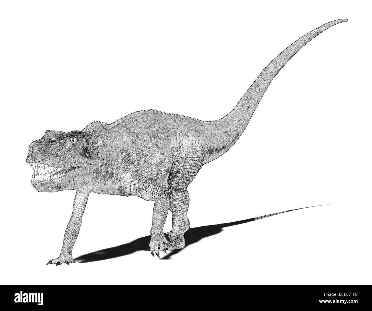 Xenotarsosaurus Dinosaurier Wiki Fandom Powered By Wikia