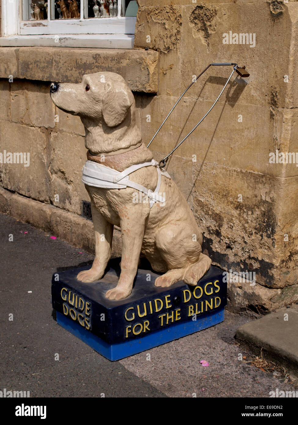 Cani guida per non vedenti immagini e fotografie stock ad alta ...