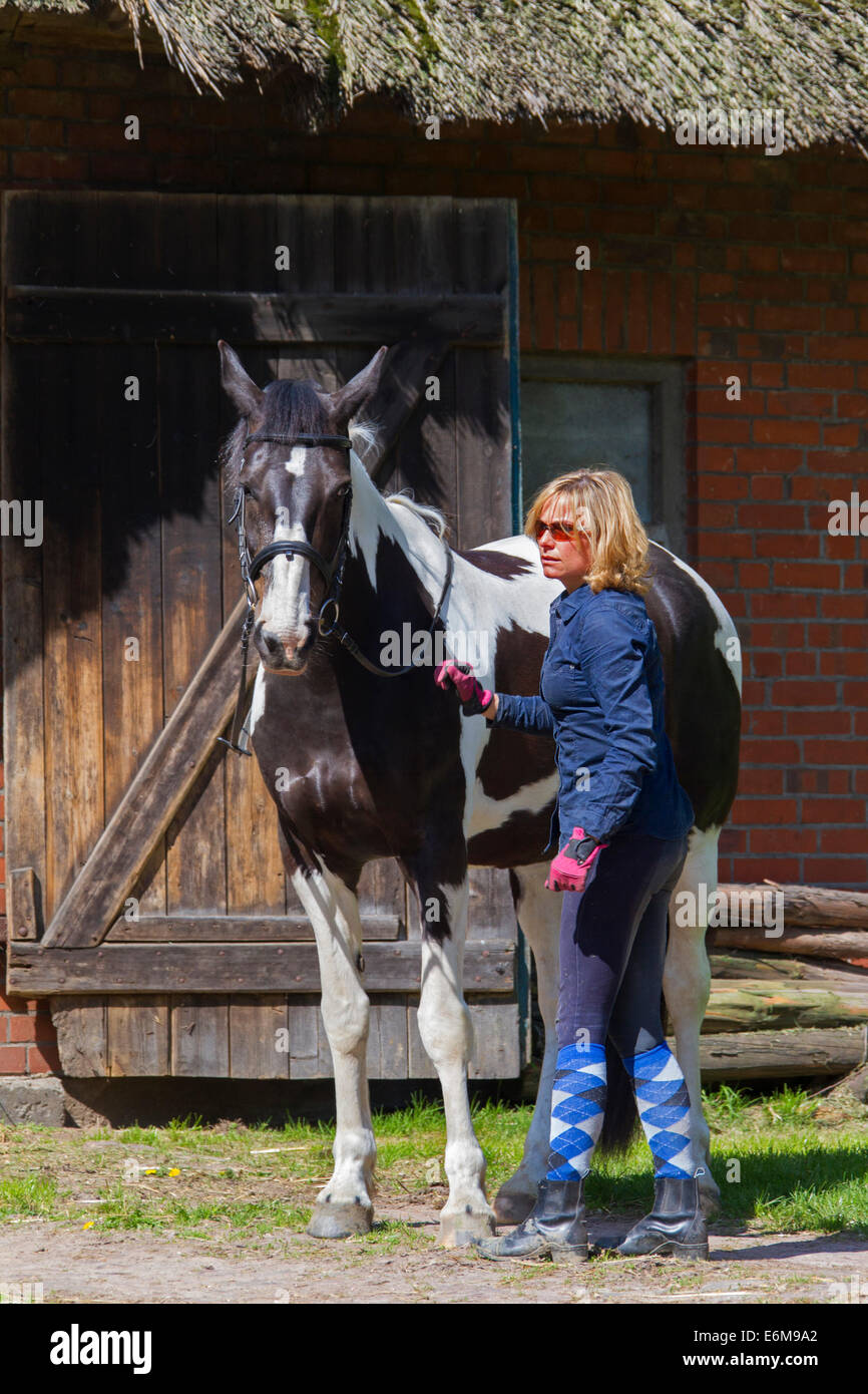 Cavallo cavaliere da colorare immagini e fotografie stock ad alta ...