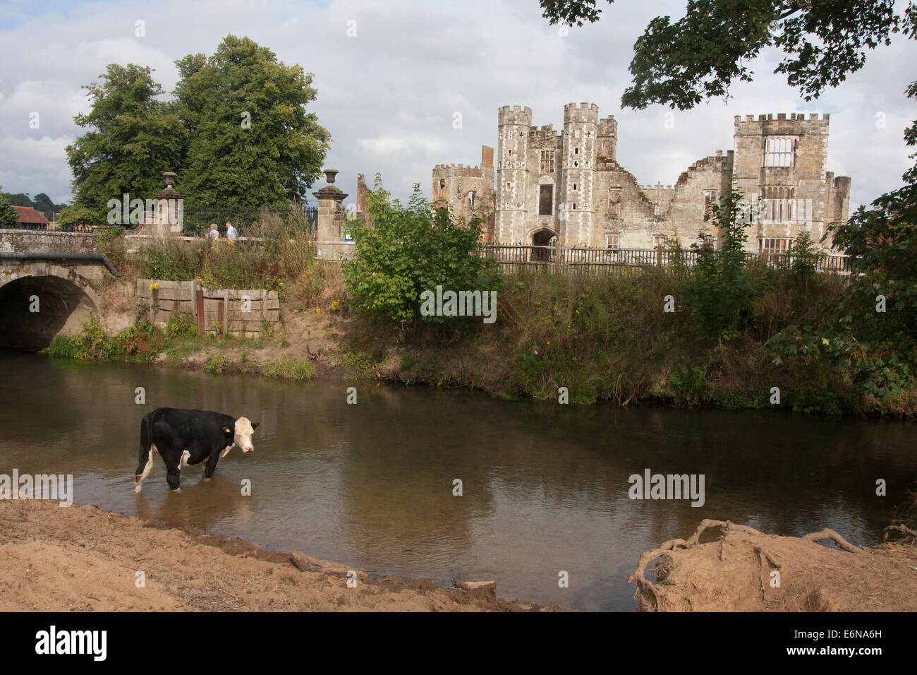 Tenuta di cowdray park immagini e fotografie stock ad alta risoluzione ...