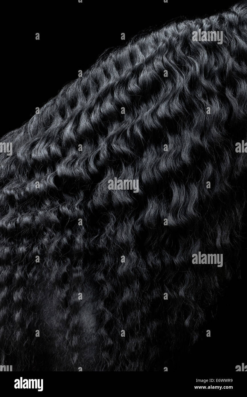 Frisona collo immagini e fotografie stock ad alta risoluzione - Alamy