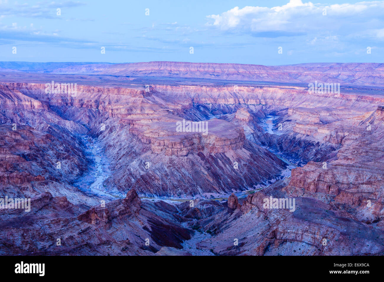 Pesce ferro di cavallo immagini e fotografie stock ad alta risoluzione ...