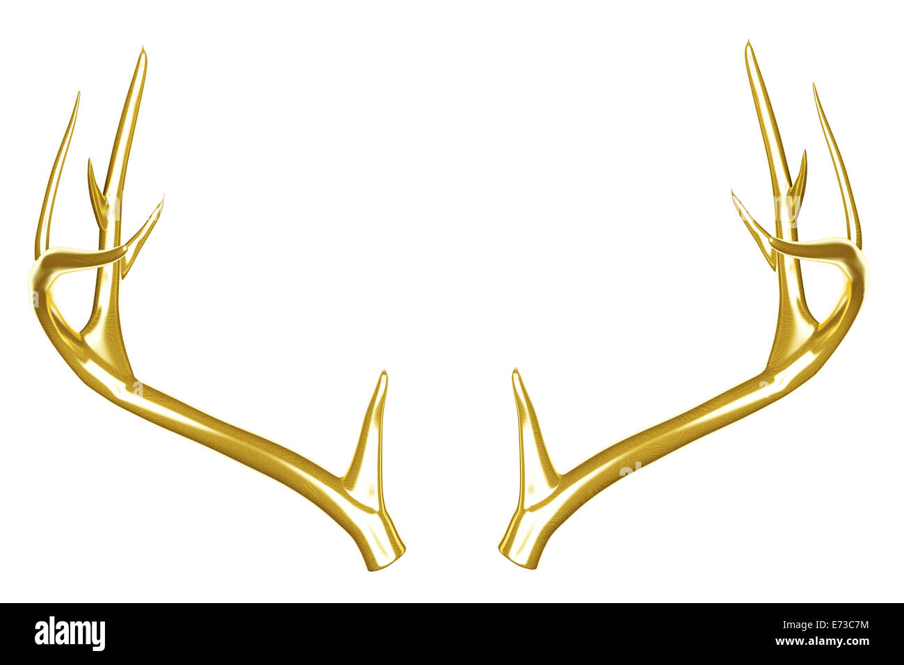 Anatomia del corno Immagini senza sfondo e Foto Stock ritagliate - Alamy