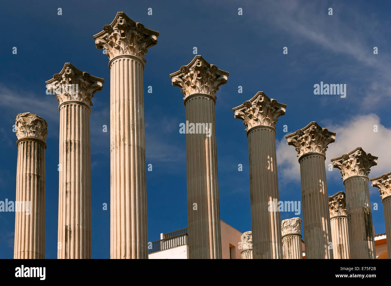 Capitelli romani immagini e fotografie stock ad alta risoluzione - Alamy