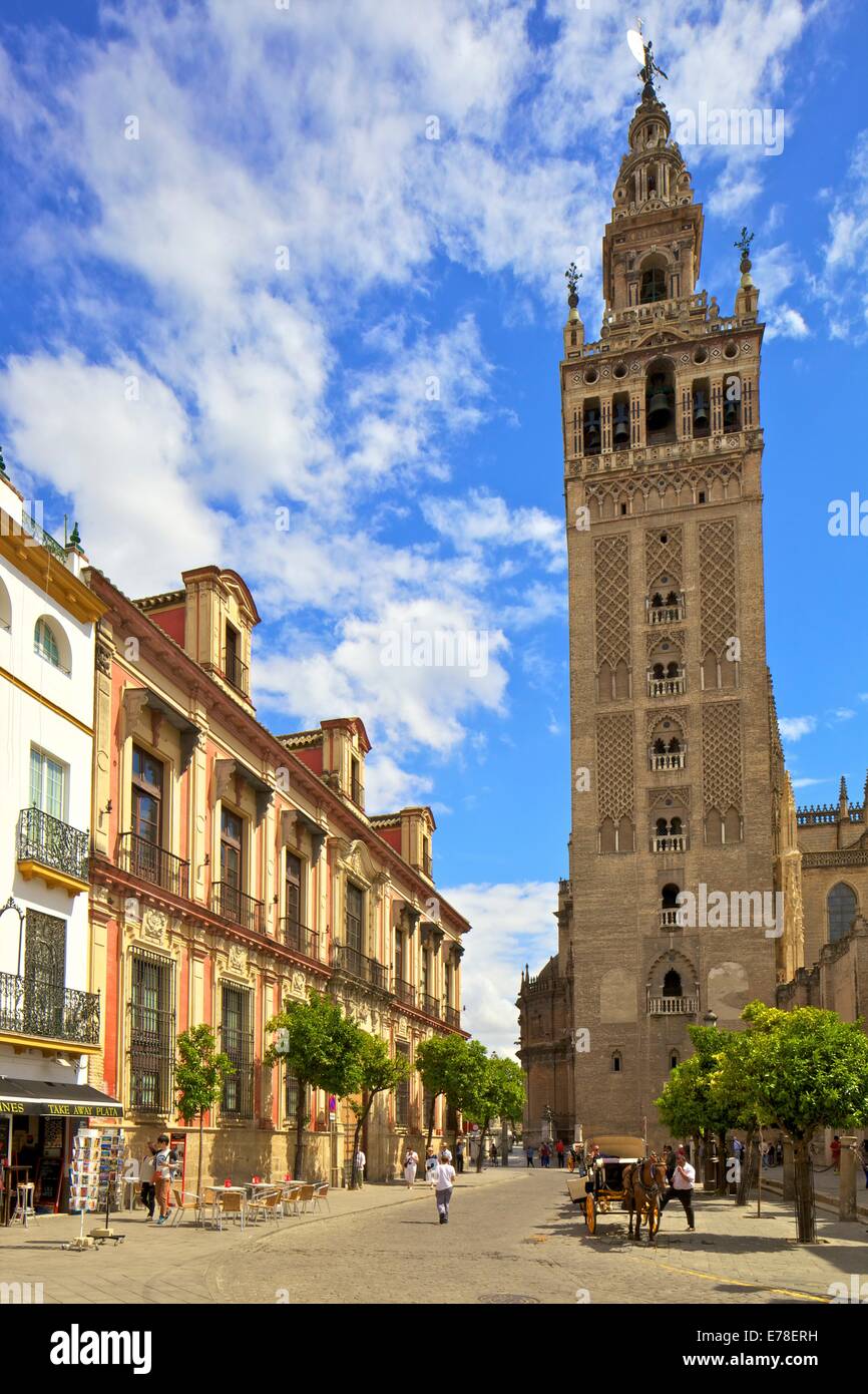 Pedro dancart immagini e fotografie stock ad alta risoluzione - Alamy