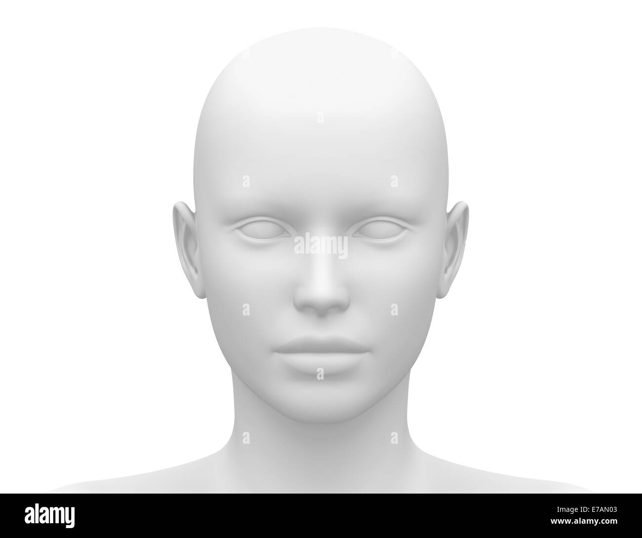 Anatomia umana muscoli Foto e Immagini Stock in Bianco e Nero - Alamy