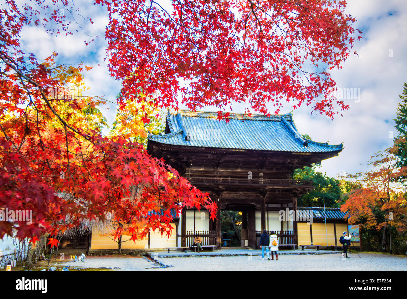 Tempio di kyoto immagini e fotografie stock ad alta risoluzione - Alamy