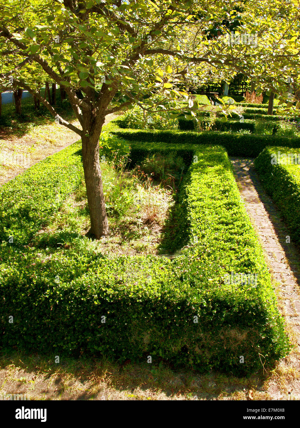 Cespugli del giardino immagini e fotografie stock ad alta risoluzione ...
