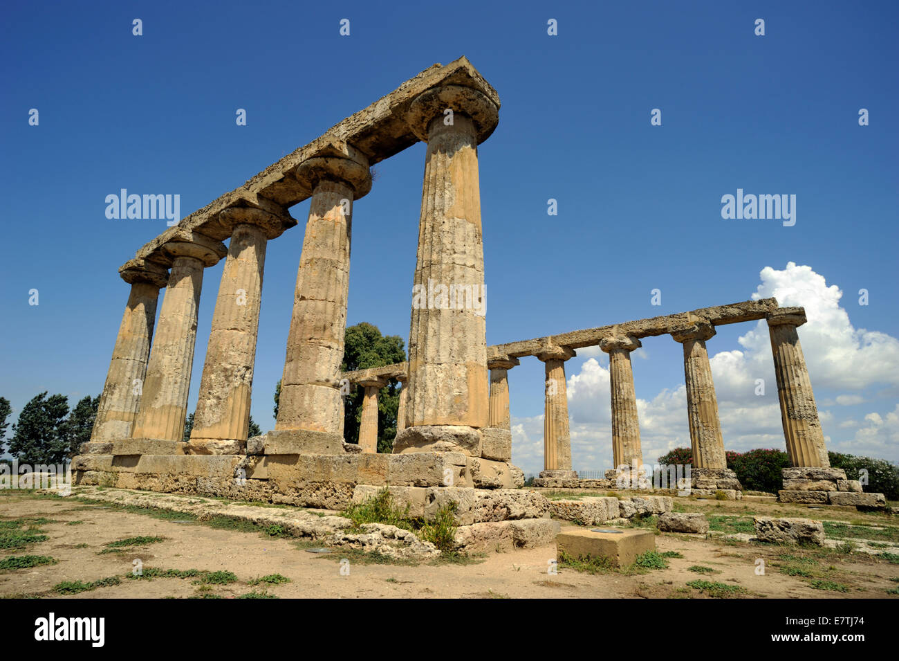 Colonne del tempio dorico di hera immagini e fotografie stock ad alta ...