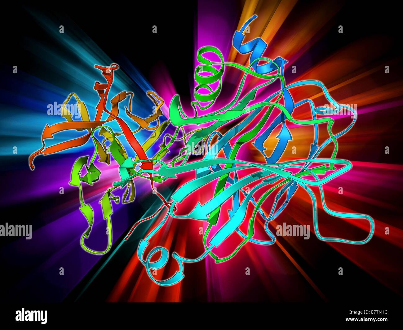 Bacillus anthracis immagini e fotografie stock ad alta risoluzione - Alamy