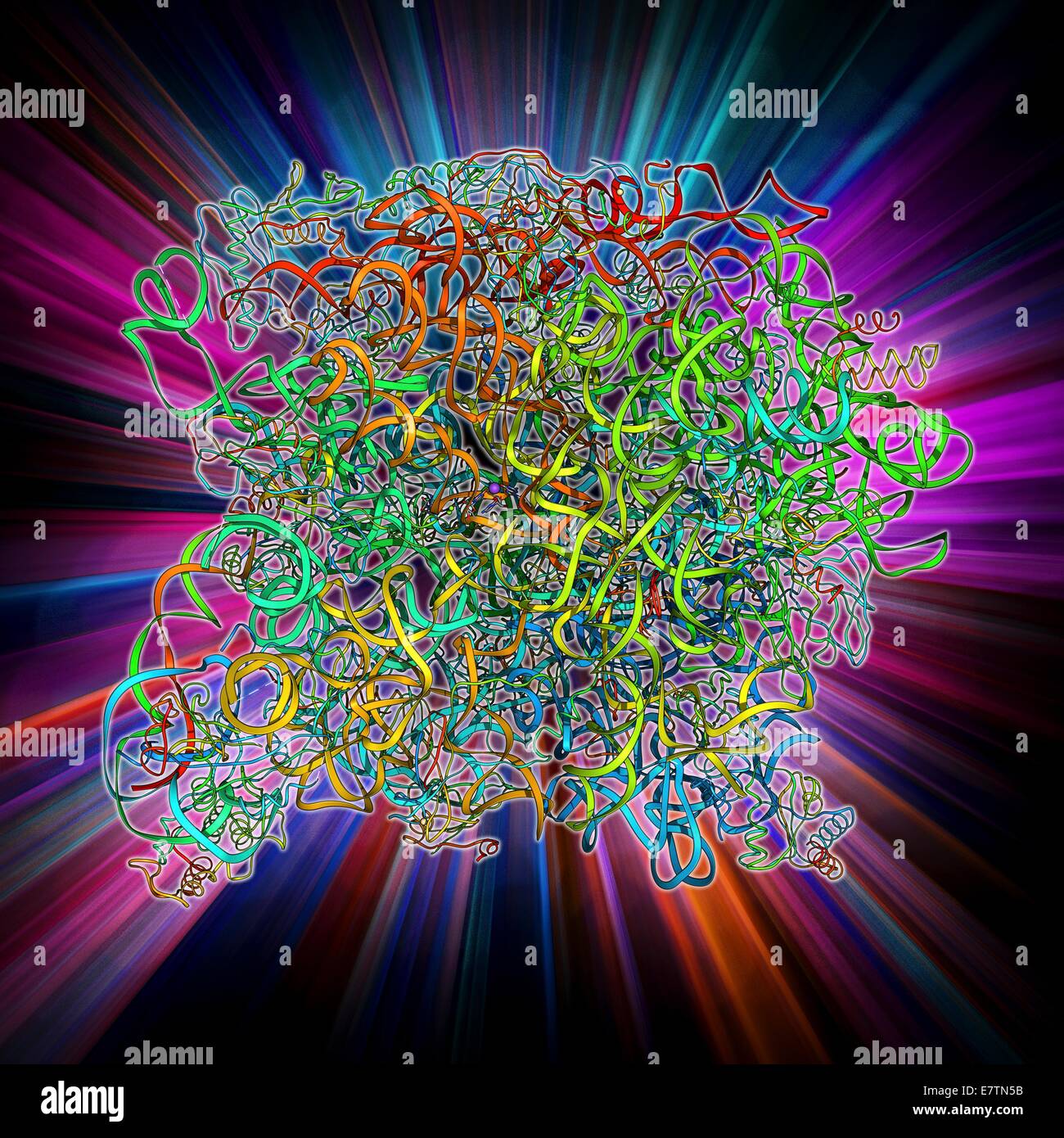 Archaeon ribosoma. Il modello molecolare che mostra la struttura di una ...