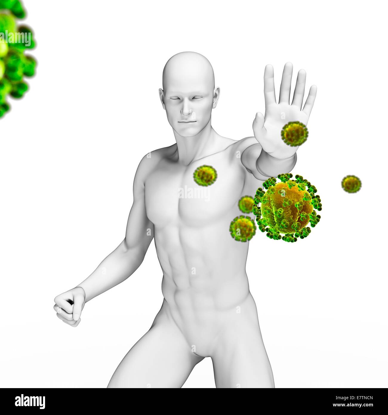 Sistema immunitario umano immagini e fotografie stock ad alta ...