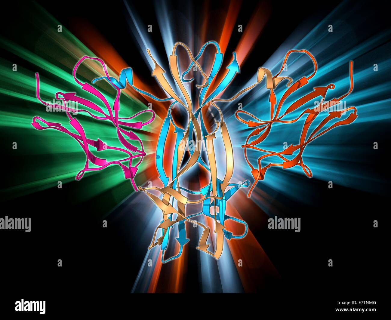Nerve growth factor immagini e fotografie stock ad alta risoluzione - Alamy