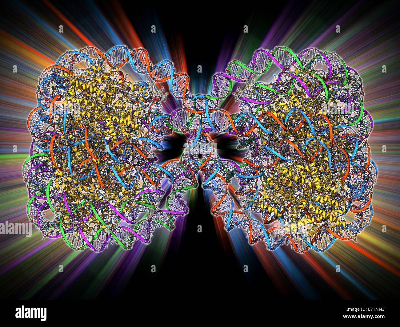 Nucleosoma del dna immagini e fotografie stock ad alta risoluzione - Alamy