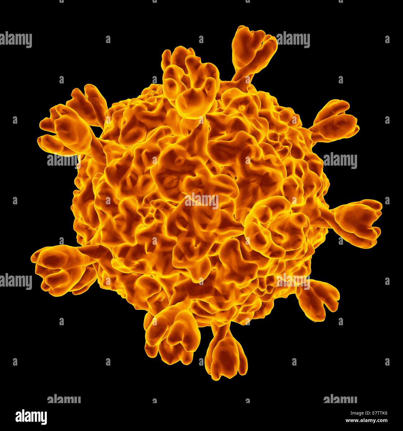 Virus del vaiolo immagini e fotografie stock ad alta risoluzione - Alamy