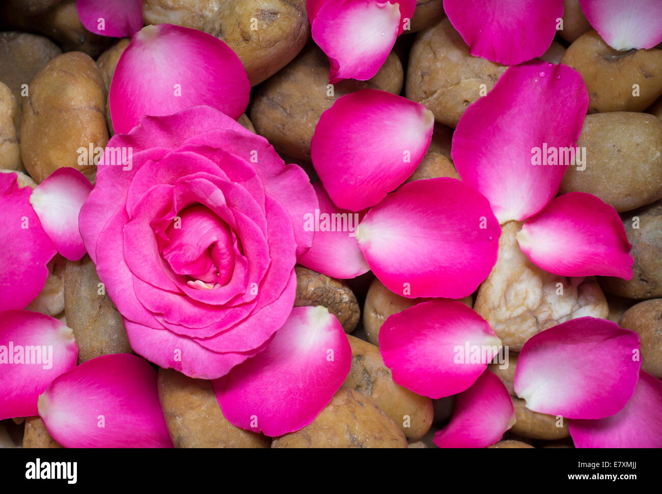 Roccia rosa immagini e fotografie stock ad alta risoluzione - Alamy